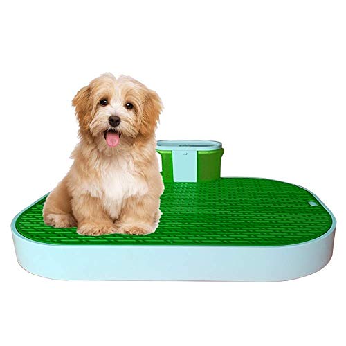 Best Indoor Dog Potties: Top 10 Solutions in 2022 | Technobark