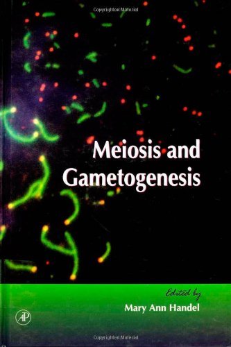 Meiosis and Gametogenesis (Volume 37) (Current Topics in Developmental ...
