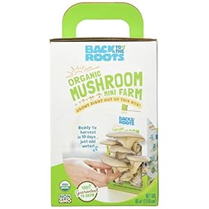 MUSHROOM KITS Archives - Mushroom Kits Canada