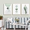 Amazon.de: Martin Kench 3-teiliges Bohemian Poster Set Aesthetic Grüne Pflanze Bilder Moderne ...
