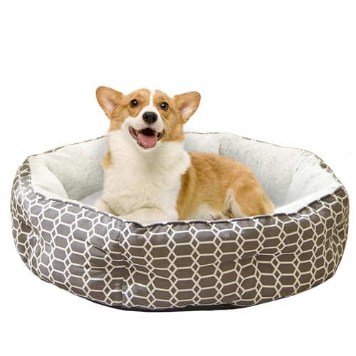 Medium Dog Beds – The 15 best products compared - Wild Explained