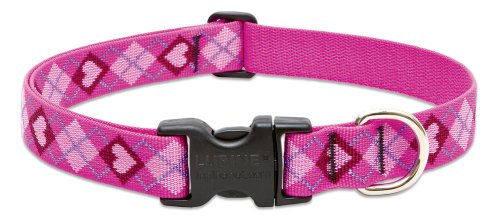 Lupine Dog Collars – The 15 best products compared - Wild Explained