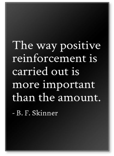 Positive Reinforcement Quotes ABA And Reinforcement