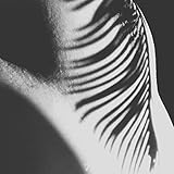 【発売日：2022年04月08日】・製造元:Seven Villas