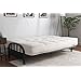 Amazon.com: Otis Bed Moonshadow 8" Foam Futon Mattress Size: Queen ...