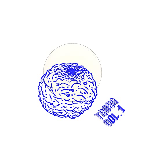 Amazon.com: TRORA Vol. 1 (Digital Version) : Panda Lassow: Digital Music