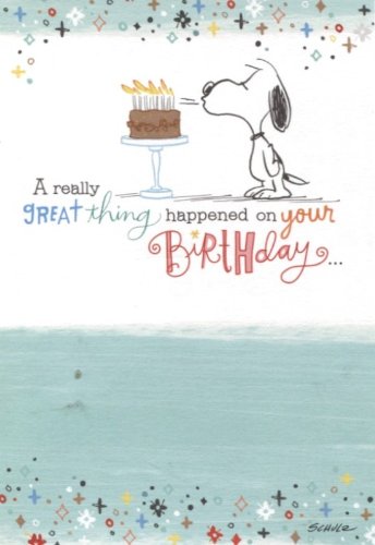 A Really Great Thing Happened (Dayspring 7374-9) - Snoopy Birthday Card ...