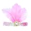 Showgirl Headpieces Feather Headpiece 1920s 2pcs Fashion Flapper ...