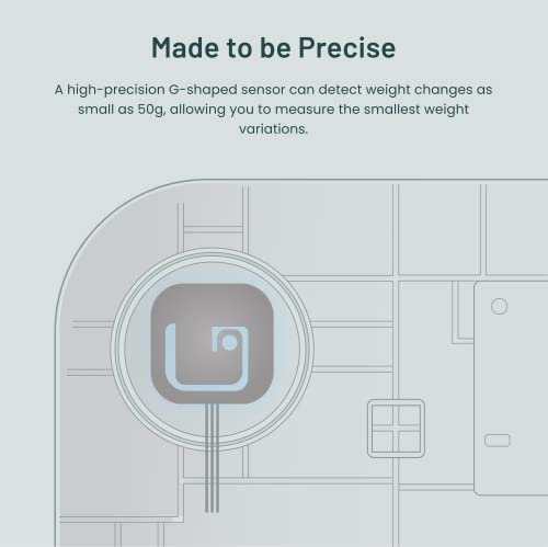 Actofit Body Fat Analyser Smart Scale Pro | Segmental Analysis | Highly ...