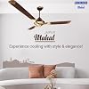 Buy RR Signature Jaipur Mahal 1320mm Designer Ceiling Fan for Home and ...