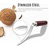 Homeaura Coconut/Nariyal Tool Coconut Meat Remover | Durable Wooden ...
