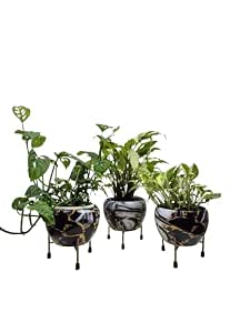 Podhghar Apple Metal Pot with Stand, Pack of 3, for Indoor/Outdoor Use ...