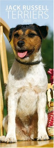 Jack Russell Terriers 2010 Slimline: BrownTrout Publishers Inc ...