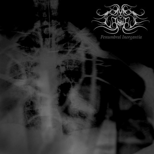 Absonus Noctis - Penumbral Inorgantia - Amazon.com Music