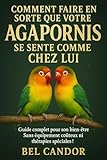 【発売日：2025年12月22日】