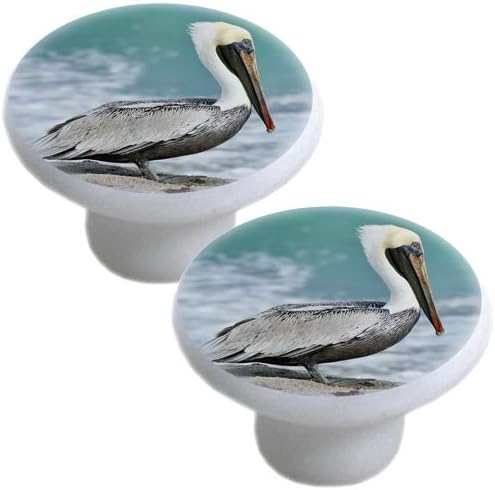 Set of 2 Pelican Ceramic Cabinet Drawer Knobs - Amazon.com