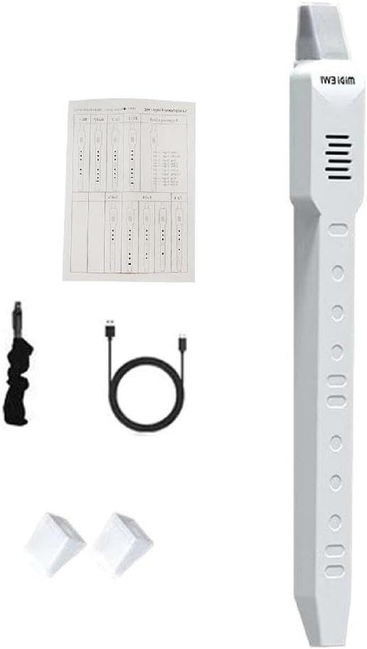 Amazon.com: Digital Wind Instrument Mini Electronic Wind Instrument Set ...