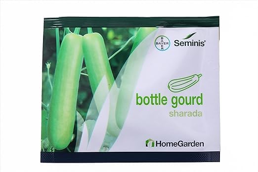 SEMINIS HYBRID BOTTLE GOURD VARIETY - SHARADA (COUNT OF 10 SEEDS FOR ...