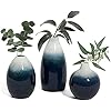 Amazon.com: Barnyard Designs Ceramic Stoneware Vase Set, Farmhouse ...
