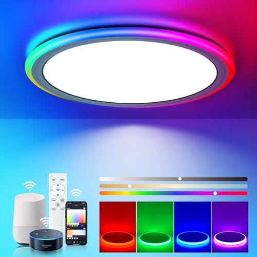 BLNAN RGB Ceiling Light with Remote Control ① Remote Control ② Smart ...
