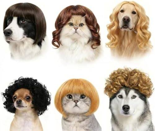 Amazon.com : 6 Pack Funny Cat and Dog Wigs, Soft Pet Cosplay Costume ...