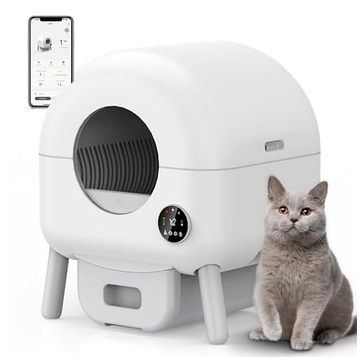 Mejores Areneros Automáticos Para Gatos 2025: Top 10 en México