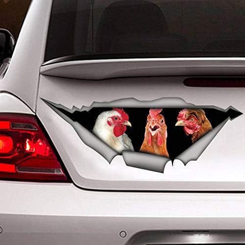 Amazon.com: Chickens Sticker, Chichen car Decal, Vinyl Sticker for Cars ...