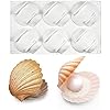 Amazon.com: Cake Mold Shell Shaped Silicone Baking Cookie Biscuit Mold ...