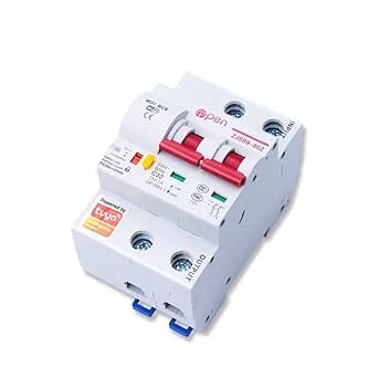 AC 220V-240V Smart Circuit Breaker, 2 Poles Smart Switch, Controlled by ...