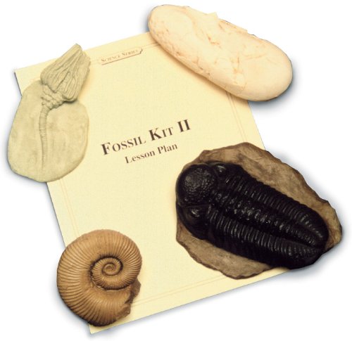 Fossil Kit II Classroom Kit : Amazon.in: Toys & Games