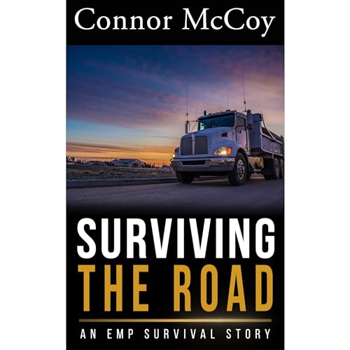 Amazon.com: SILENT DETONATION: an EMP survival story (Audible Audio ...