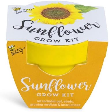 Amazon.com : Sunflower Mini Grow Kit by Buzzy : Patio, Lawn & Garden