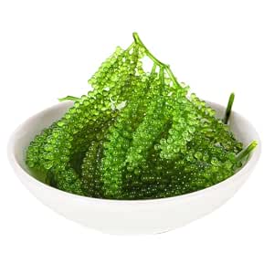 Amazon.com: Seaweed Salad (Sea Grapes) Premium Salted Sea Grapes ...