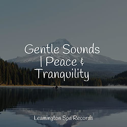Gentle Sounds | Peace & Tranquility di Meditação Clube, Nature Sounds ...
