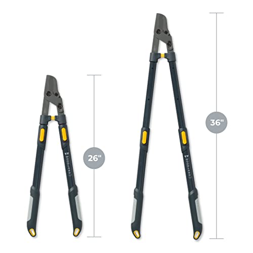 Snapklik.com : Woodland Tools Co Heavy Duty Extendable 25-37 ...