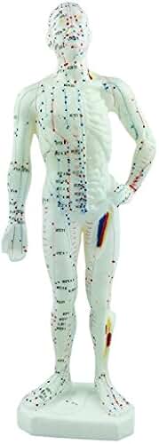 Amazon.com: acupuncture doll