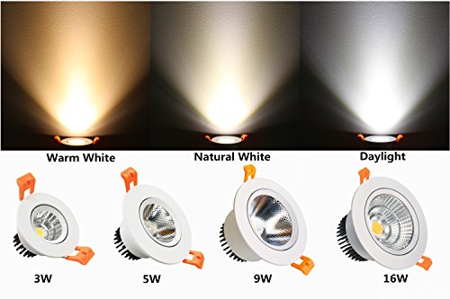 Snapklik.com : LightingWill 2inch LED Dimmable Downlight, 3W COB ...