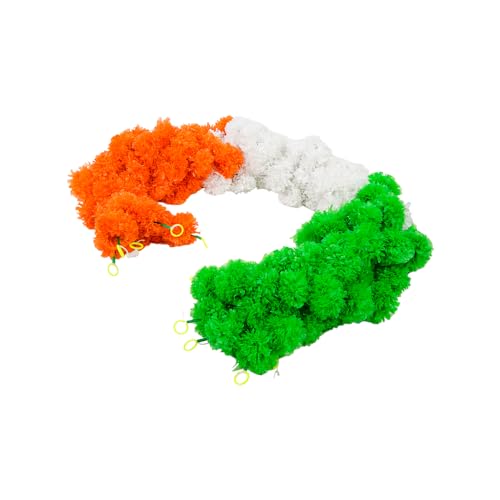 Republic Day 2025: Create A Patriotic Ambience With Tricolour Office ...