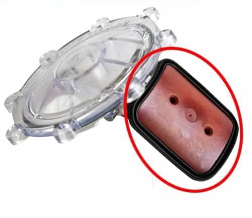 Amazon.com: Pool Leak Academy Replacement Check Valve Flapper for Jandy ...