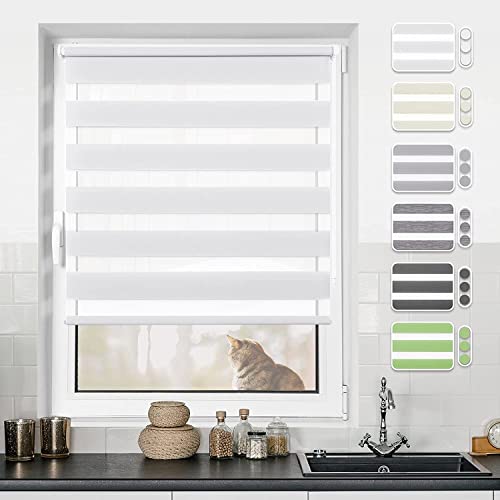 Rollos 200 Cm Breit