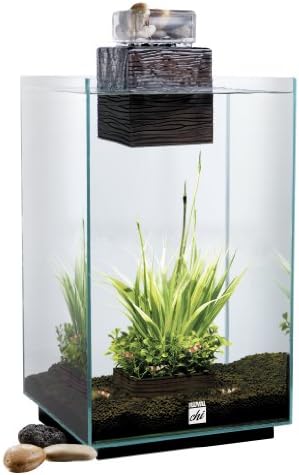 Amazon.com : Fluval Chi Aquarium Kit, 6.6-Gallon : Aquarium Filter ...