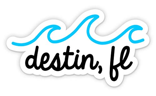 Amazon.com: Squiddy Destin - Vinyl Sticker Decal for Phone, Laptop ...
