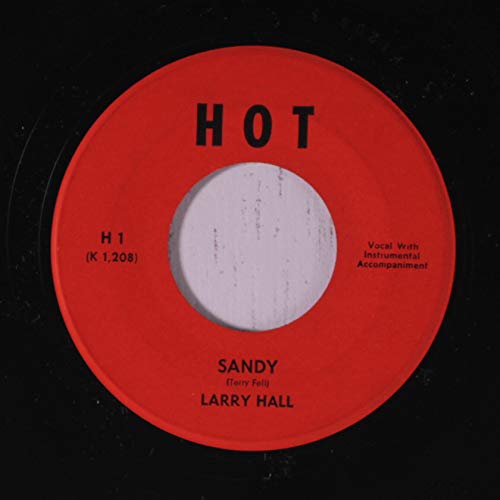 Amazon.com: sandy: CDs & Vinyl