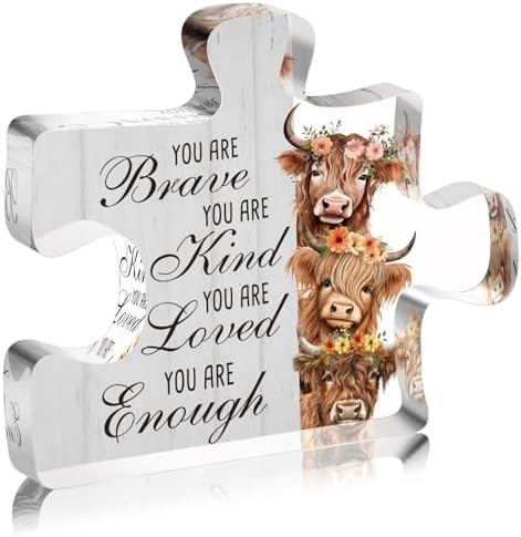 Amazon.com: Inspirational Highland Cow Acrylic Sign Decor Gifts for ...