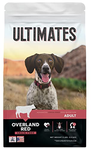 Unveiling the Top 10 Dog Food Ultimates: A Comprehensive Buying Guide ...