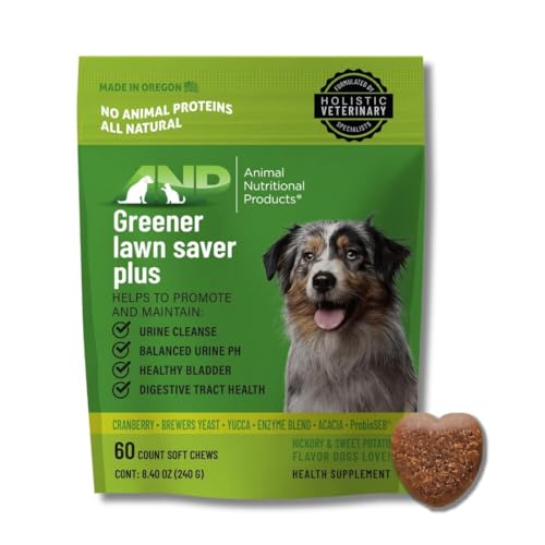 Cheap Lawn Care for Seniors – The 15 best products compared