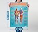 The Muscular System PE Classroom Poster - EXTRA LARGE 33” x - Want It All