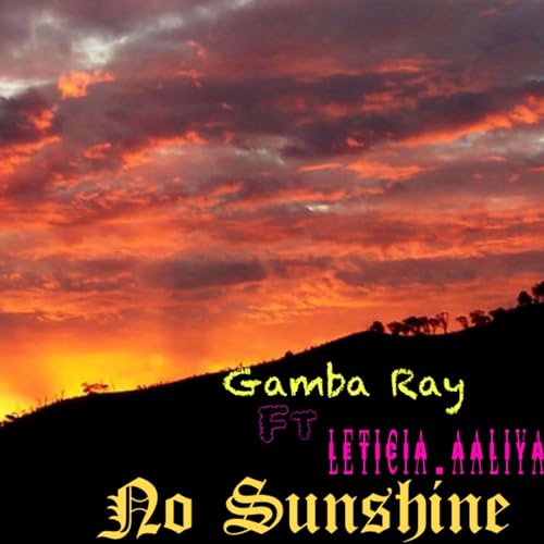 Amazon.co.jp: No Sunshine [Explicit] : Gamba Ray: Digital Music