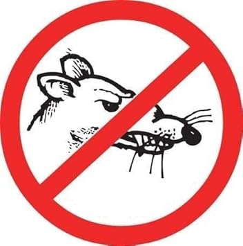 10 No Rats Hardhat Stickers T-74 by Stickers - Amazon.com