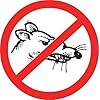 10 No Rats Hardhat Stickers T-74 by Stickers - Amazon.com